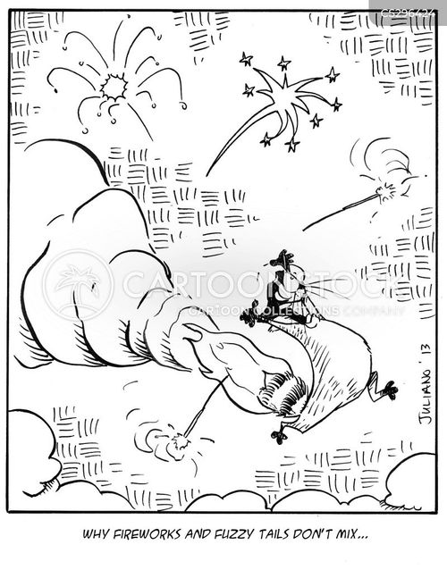 Firework Display Cartoons and Comics - funny pictures from CartoonStock