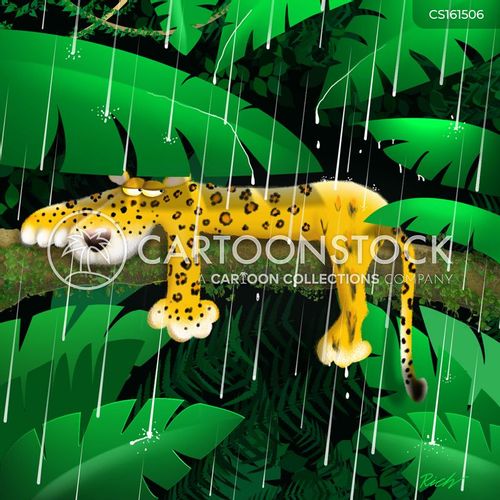 Rainforest Animals Cartoons and Comics - funny pictures from CartoonStock