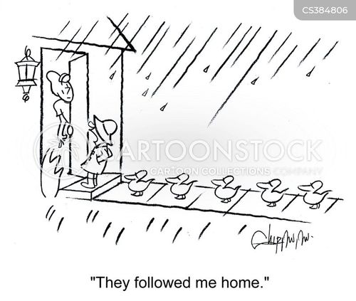 Nice Weather For Ducks Cartoons and Comics - funny pictures from CartoonStock