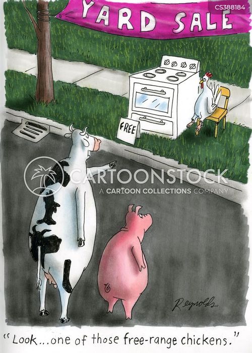 Chasing Chickens Cartoons and Comics - funny pictures from CartoonStock
