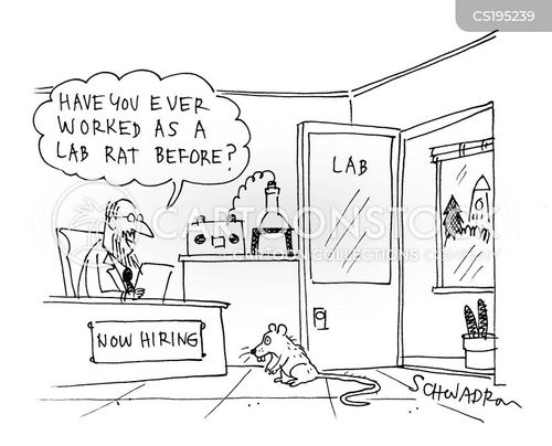 Work Experience Cartoons and Comics - funny pictures from CartoonStock