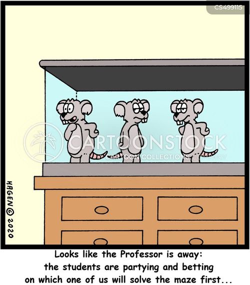 Maze Experiment Cartoons and Comics - funny pictures from CartoonStock