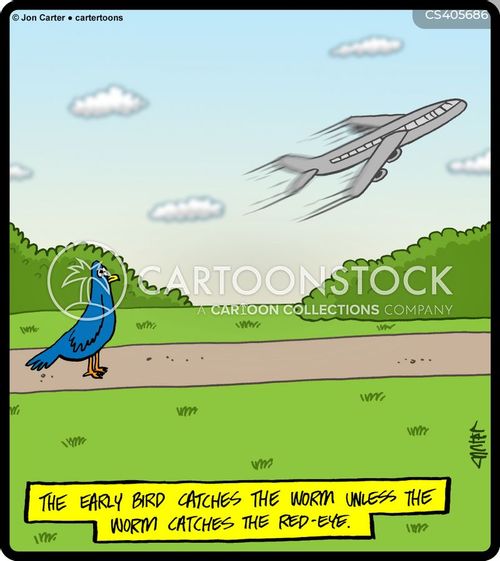 Early Birds Cartoons and Comics - funny pictures from CartoonStock