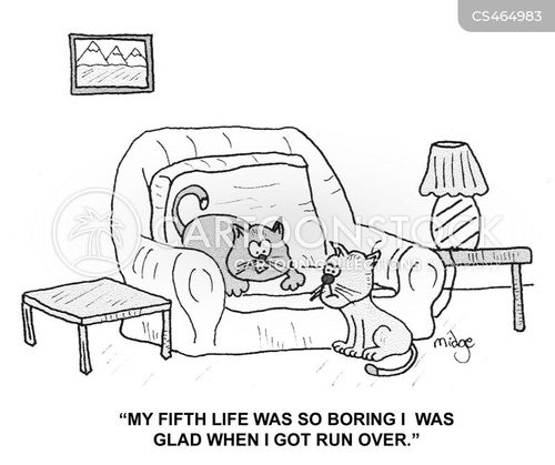 Witchs Cat Cartoons and Comics - funny pictures from CartoonStock
