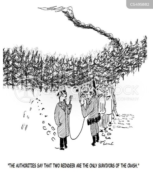 Roof Damage Cartoons and Comics - funny pictures from CartoonStock