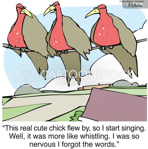 Bird Cartoon Singing Pair