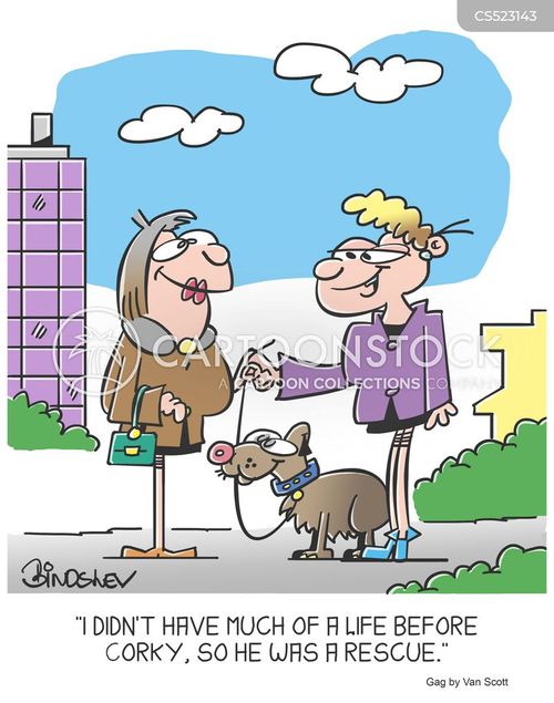 Better Life Cartoons and Comics - funny pictures from CartoonStock