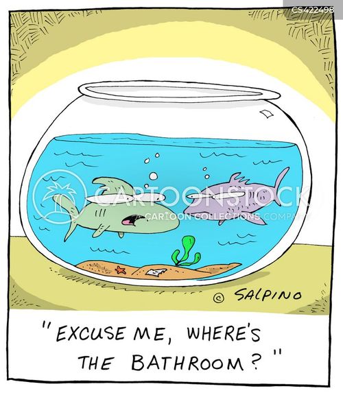Flush Fish Down Toilet Cartoons and Comics - funny pictures from ...