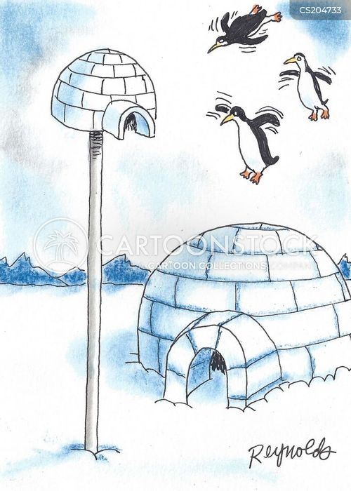 Birds Houses Cartoons and Comics - funny pictures from CartoonStock