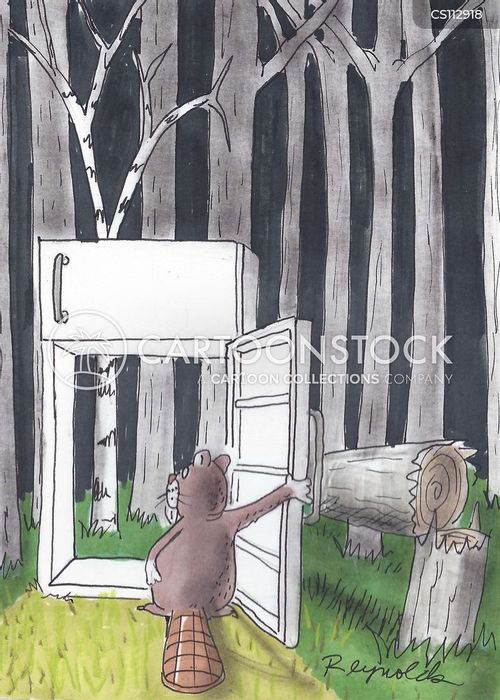 Beaver Dam Cartoons and Comics - funny pictures from CartoonStock