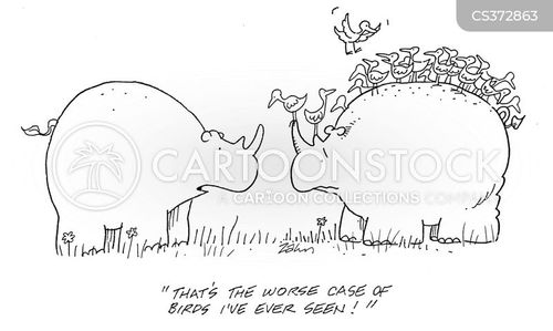 Bird Infestation Cartoons and Comics - funny pictures from CartoonStock