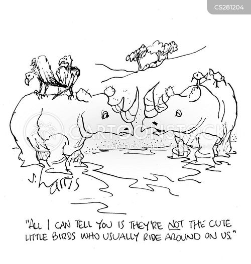 Tick Birds Cartoons and Comics - funny pictures from CartoonStock