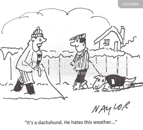 Sausage Dog Cartoons and Comics - funny pictures from CartoonStock