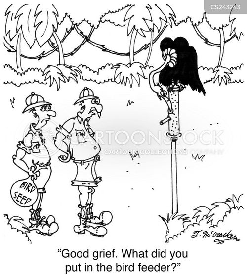 Condor Cartoons and Comics - funny pictures from CartoonStock