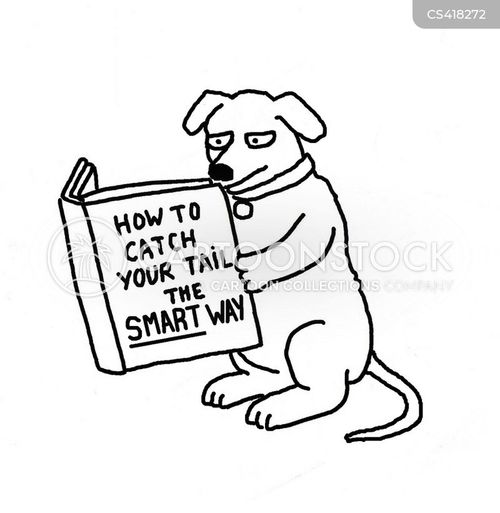 Chasing Tail Cartoons and Comics - funny pictures from CartoonStock