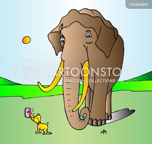 Bull Elephant Cartoons and Comics - funny pictures from CartoonStock