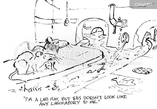 Sewer Rat Cartoons and Comics - funny pictures from CartoonStock