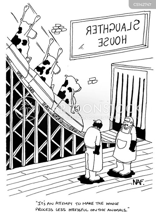 Slaughterhouse Cartoons and Comics - funny pictures from CartoonStock