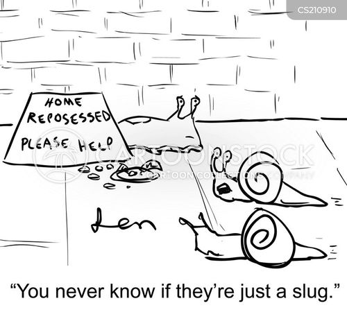 Snail Vs Slug Cartoons and Comics - funny pictures from CartoonStock