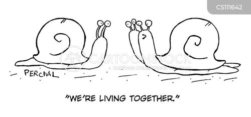 Living Together Cartoons and Comics - funny pictures from CartoonStock