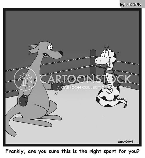 Boxing Kangaroo Cartoons and Comics - funny pictures from CartoonStock