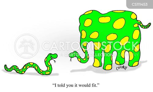 Swallow Cartoons and Comics - funny pictures from CartoonStock