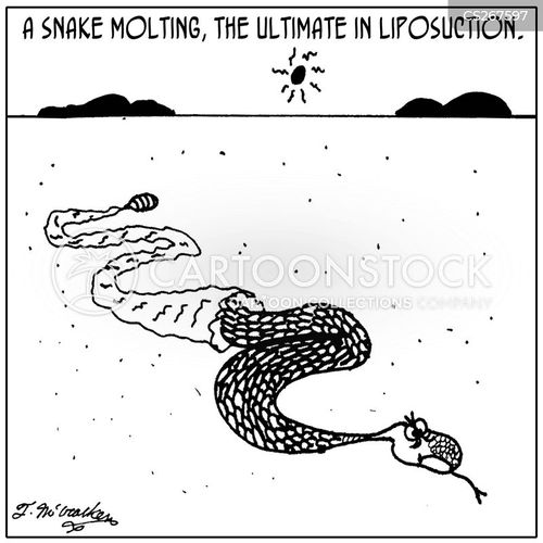 Molting Cartoons and Comics - funny pictures from CartoonStock