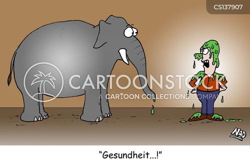Elephant Trainer Cartoons and Comics - funny pictures from CartoonStock