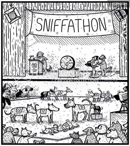 Backside Cartoons and Comics - funny pictures from CartoonStock