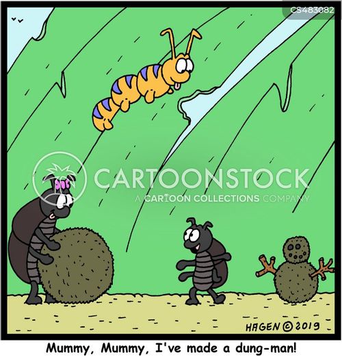 Dung Ball Cartoons and Comics - funny pictures from CartoonStock