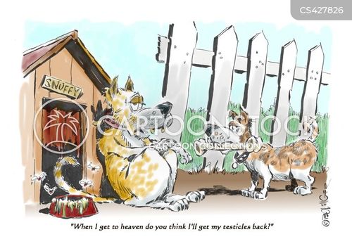 Spay Cartoons and Comics - funny pictures from CartoonStock