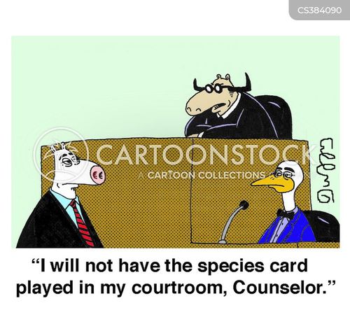 Animal Court Cartoons and Comics - funny pictures from CartoonStock