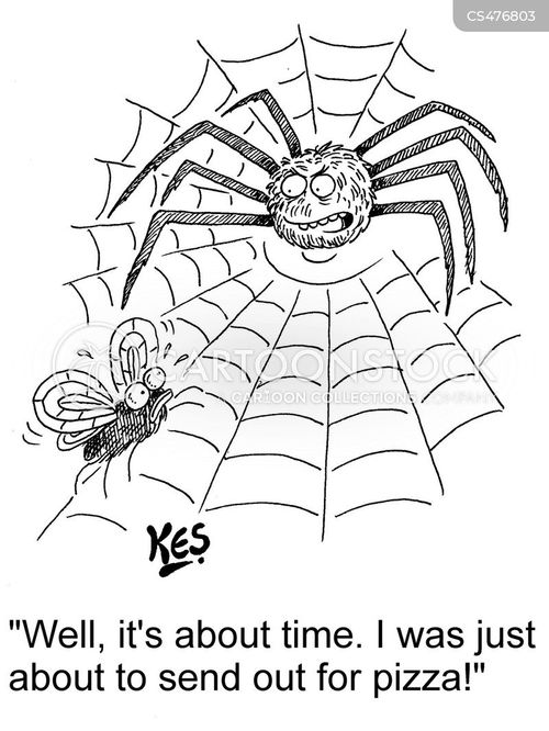 Spider Eating Fly Cartoon