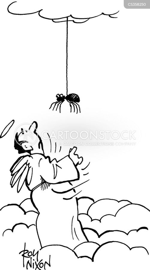 Spinneret Cartoons and Comics - funny pictures from CartoonStock