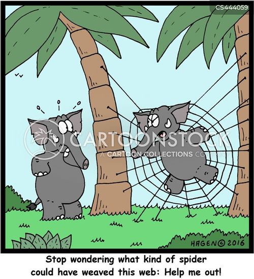 Spiderlife Cartoons and Comics - funny pictures from CartoonStock