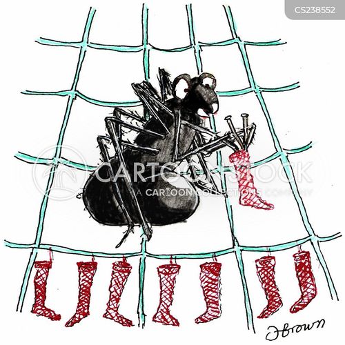 Insect Web Cartoons and Comics - funny pictures from CartoonStock