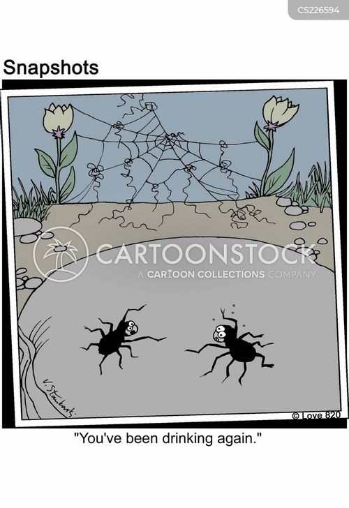 Friendly Spiders Cartoons and Comics - funny pictures from CartoonStock
