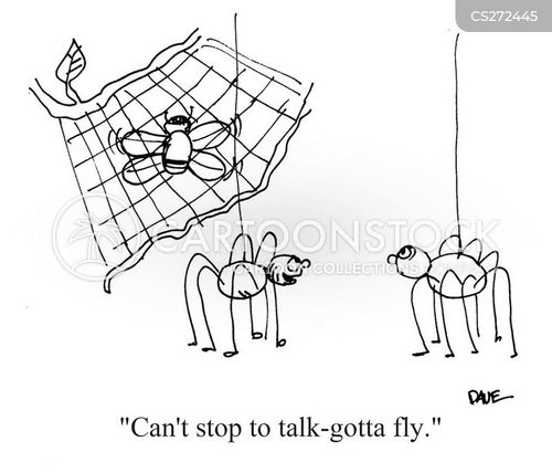 Spider Fly Memes Catching A Spider Cartoons And Comics Funny