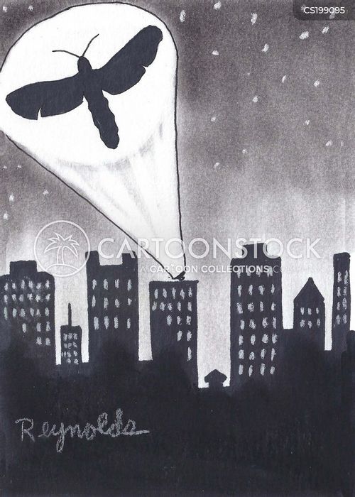 Moth Cartoons and Comics - funny pictures from CartoonStock