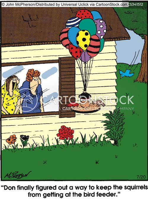 Bird Problem Cartoons and Comics - funny pictures from CartoonStock