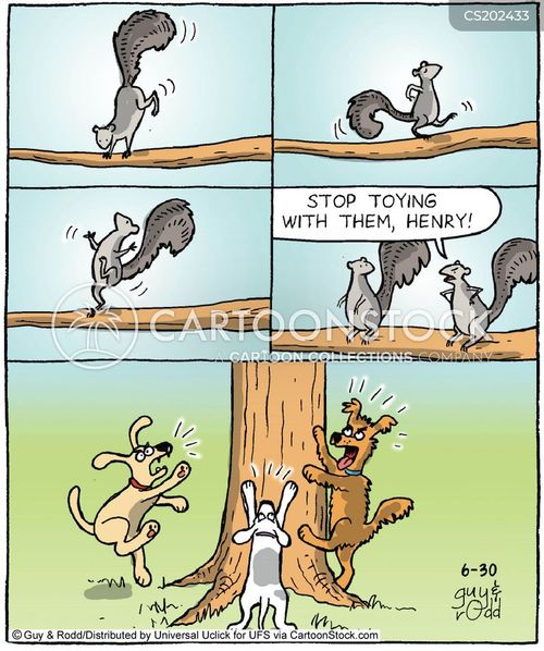 Taunted Cartoons and Comics - funny pictures from CartoonStock