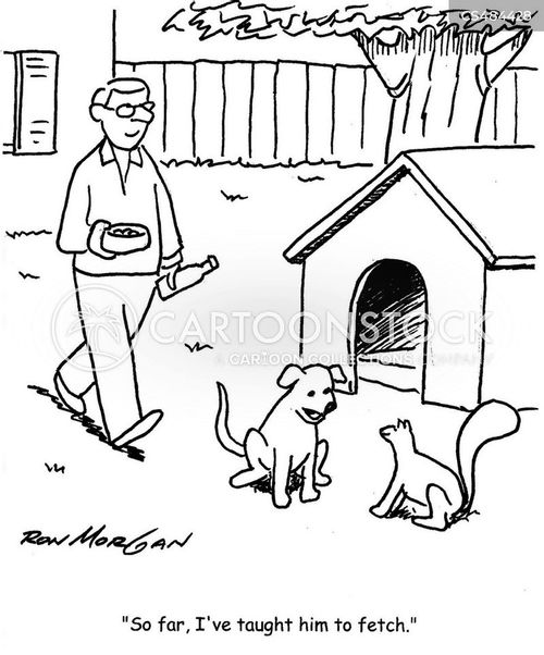 Squirrel Chaser Cartoons and Comics - funny pictures from CartoonStock