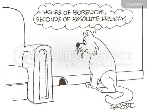 Stake Out Cartoons and Comics - funny pictures from CartoonStock