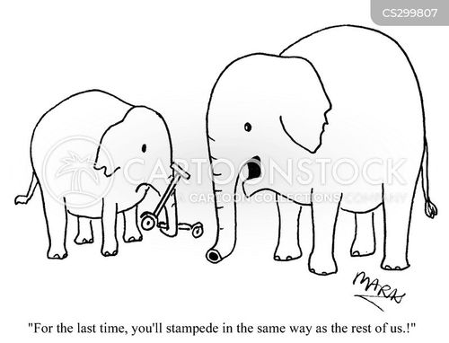 Elephant Stampede Cartoons and Comics - funny pictures from CartoonStock