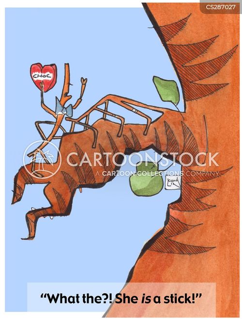 Stick Insect Cartoons and Comics - funny pictures from CartoonStock