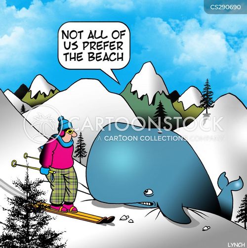 Stranded Whale Cartoons and Comics - funny pictures from CartoonStock