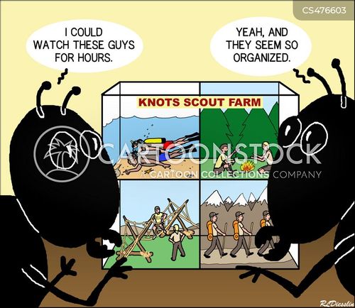 Scouting Movement Cartoons and Comics - funny pictures from CartoonStock