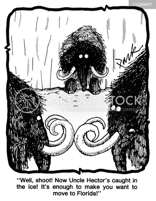 Sunshine State Cartoons and Comics - funny pictures from CartoonStock