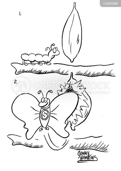 Metamorphases Cartoons and Comics - funny pictures from CartoonStock