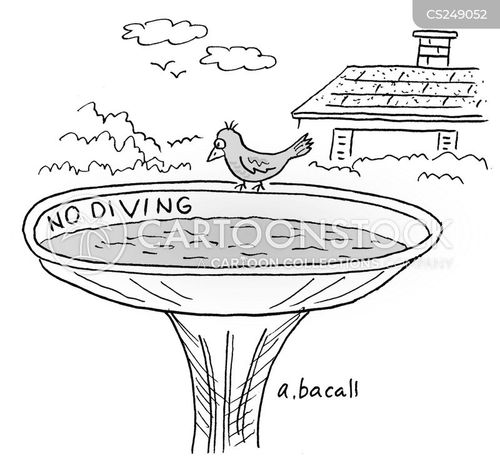 Birdbath Cartoons and Comics - funny pictures from CartoonStock